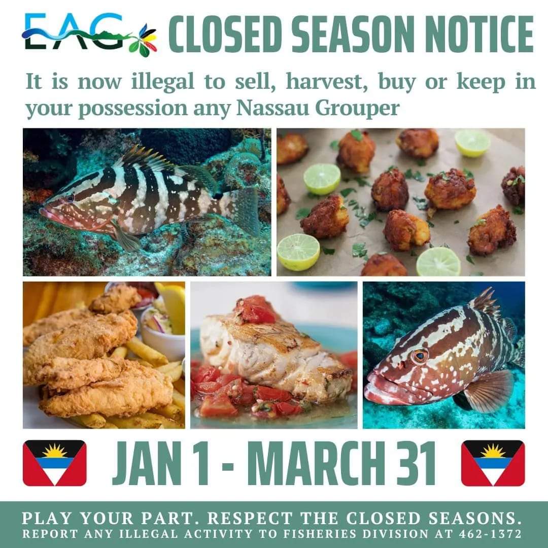 EAG Urges The Public To Respect The Closed Seasons – safety steps