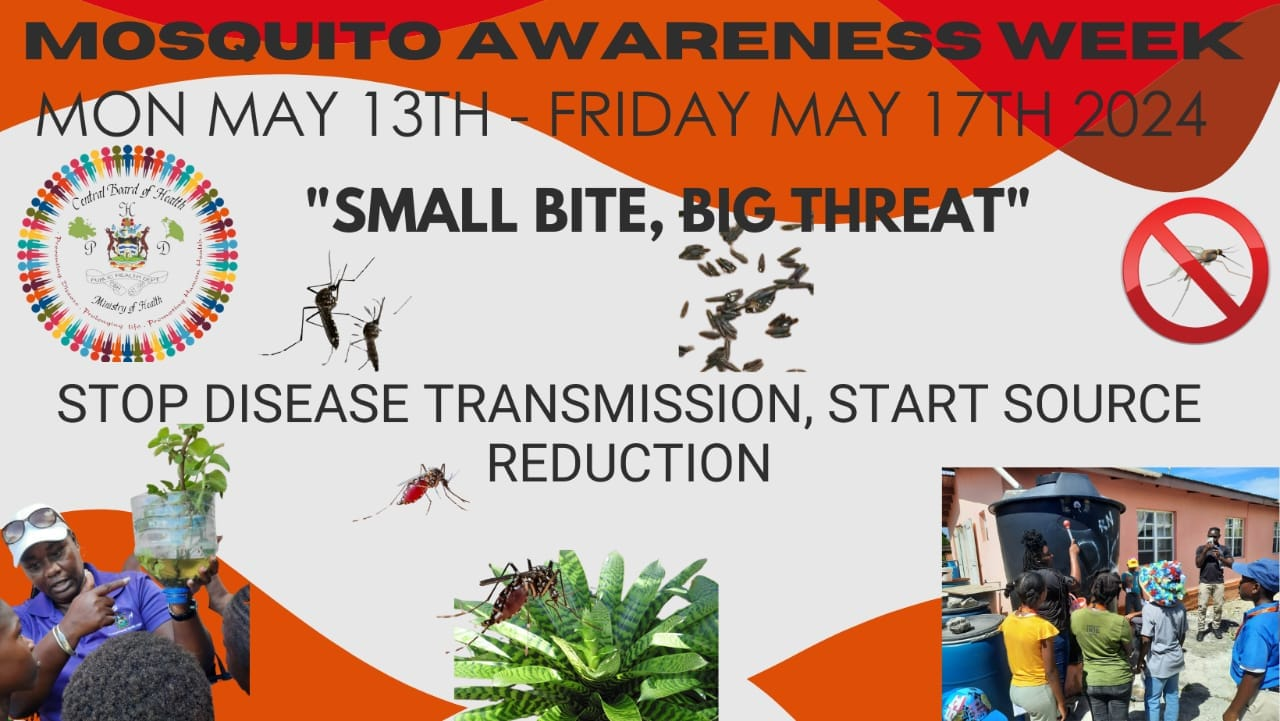 MOH And CBH Observe Mosquito Awareness Week – safety steps