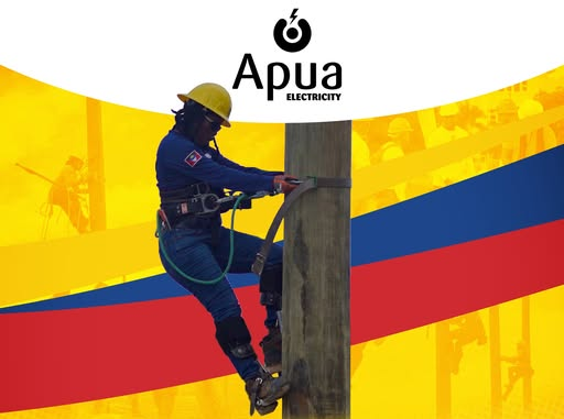 APUA Lineworker Rodeo 2025: A Showcase Of Skill And Teamwork – safety steps