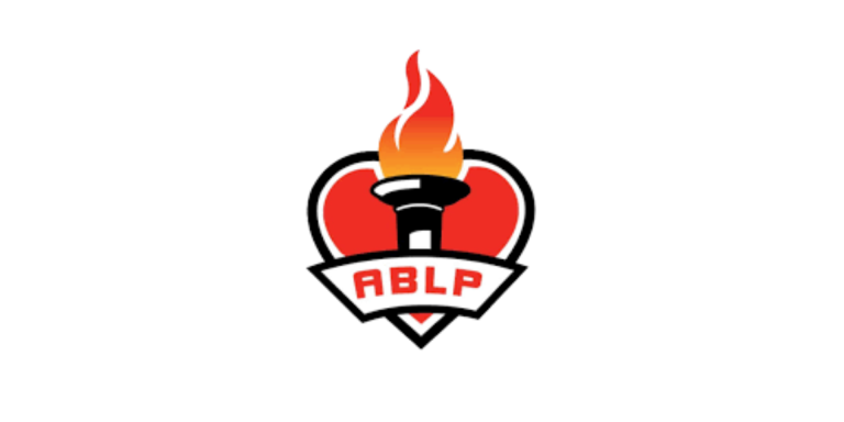 ABLP Releases Press Statement On Labour Day Incident – safety steps